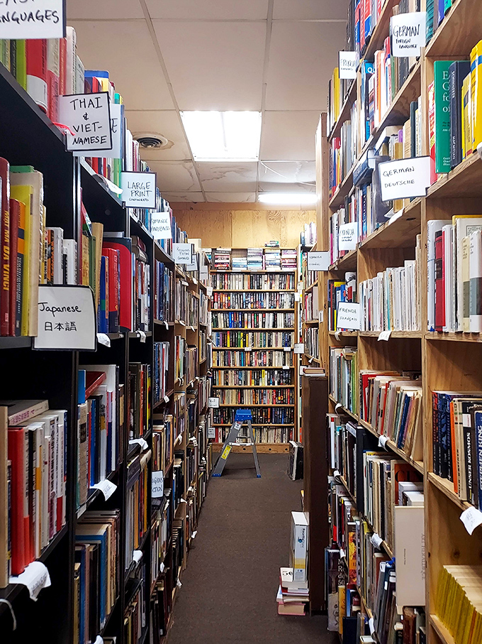 The foreign language section: where you can pretend you're going to finally learn Japanese while actually just admiring how beautiful the characters look.