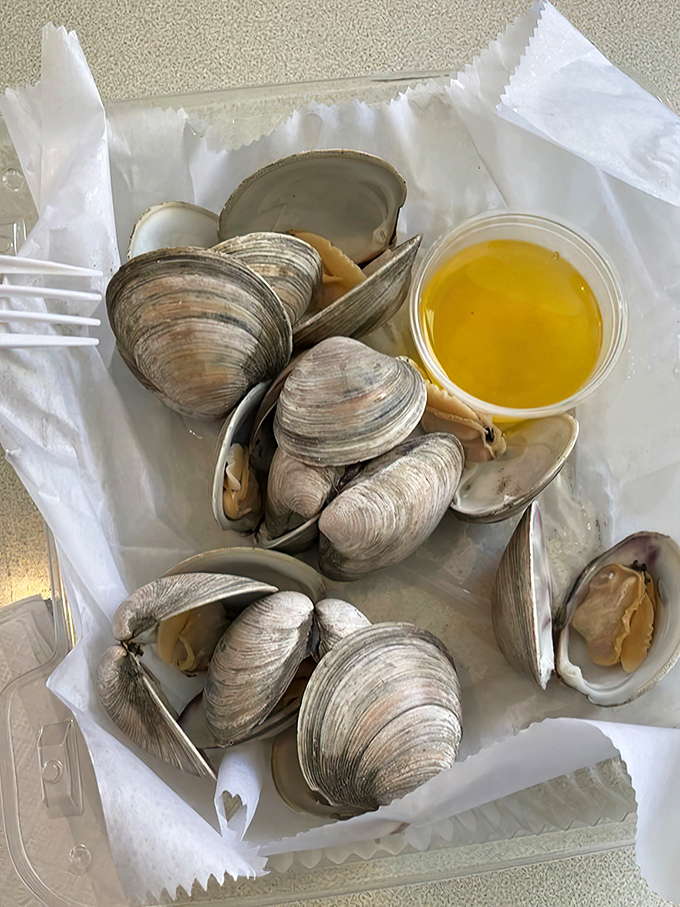Nature's perfect appetizer: steamed littleneck clams with melted butter. Simple, elegant, and requiring absolutely zero improvement since the dawn of time.