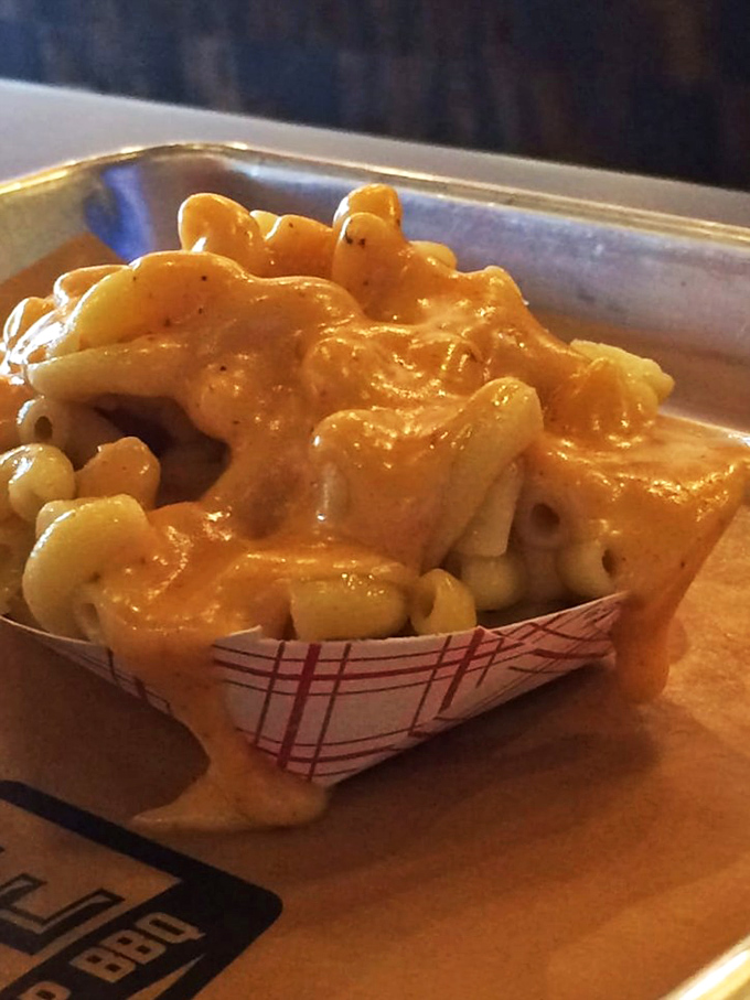 Mac and cheese that doesn't know it's a side dish. This creamy, golden masterpiece is staging a quiet revolution against the meat-centric hierarchy.