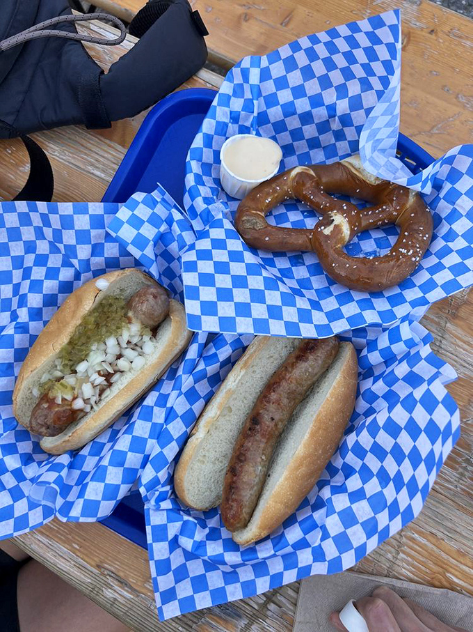 The ultimate trifecta: two sausages, one pretzel, and zero regrets. This blue tray holds more joy than most people experience in a week.