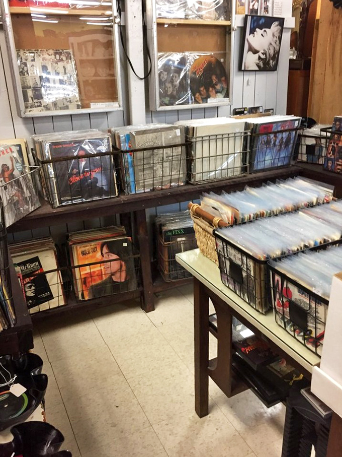 Vinyl paradise for music lovers&mdash;where album art was king and finding that rare pressing feels better than any digital download.