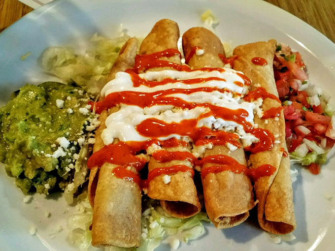 An enchilada verde that glows with potential, like the first day of vacation. That perfect drizzle of crema is the chef's signature.