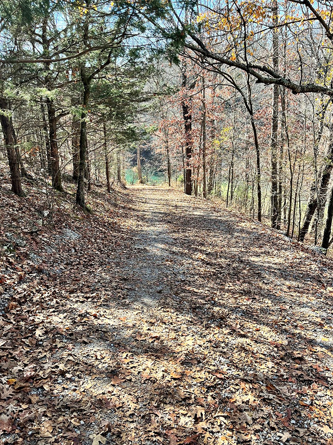 Autumn's golden carpet rolls out along this trail, offering a crunchy soundtrack to your hike that no Spotify playlist could improve upon.