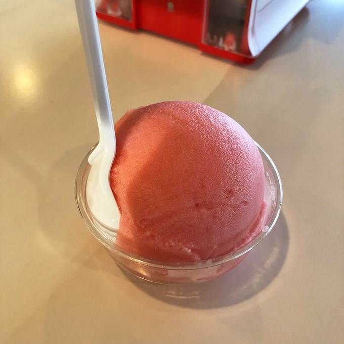 That perfect scoop of strawberry ice cream, sitting pretty in its cup like a pink jewel waiting to transform your ordinary afternoon.