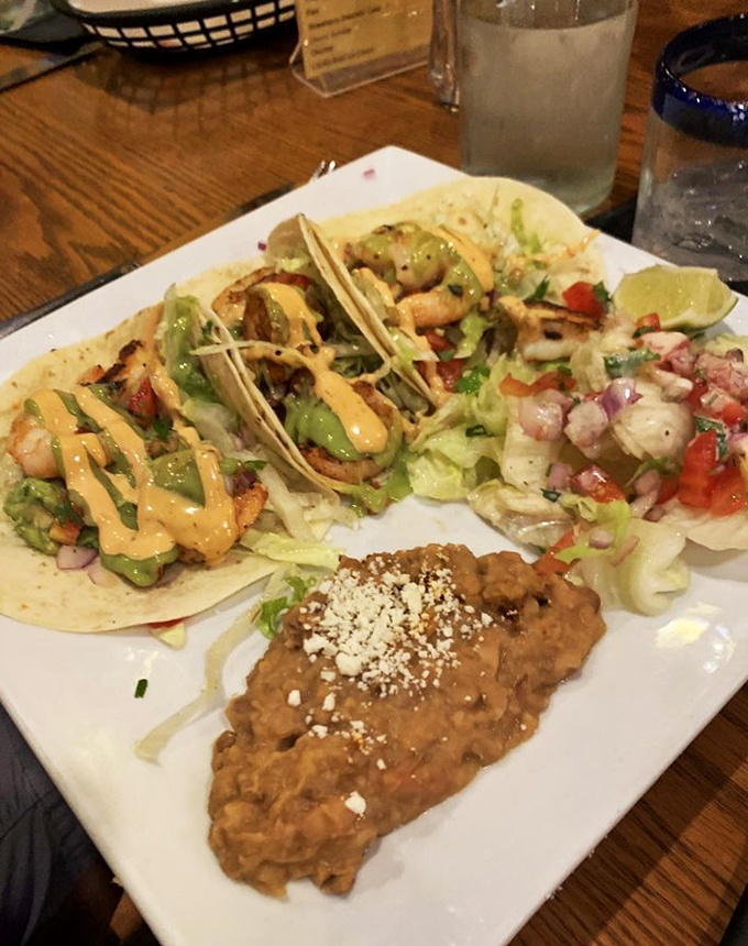 The enchilada plate that launched a thousand return visits. That cheese pull should have its own Instagram account and talent agent. 