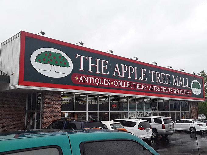 Branson's treasure trove announces itself with unmistakable flair. That sign promises more than shopping—it promises an experience.