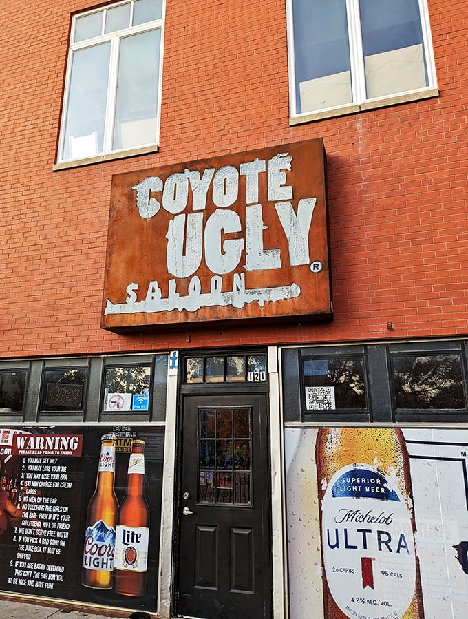The infamous Coyote Ugly sign promises a night you might not remember at a bar you'll never forget.