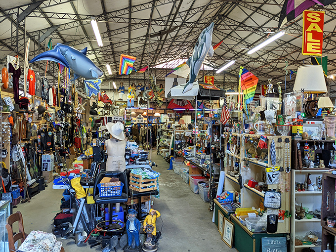 Dave's Treasure Hunt lives up to its name with aisles packed so full of curiosities that Indiana Jones would need a map.