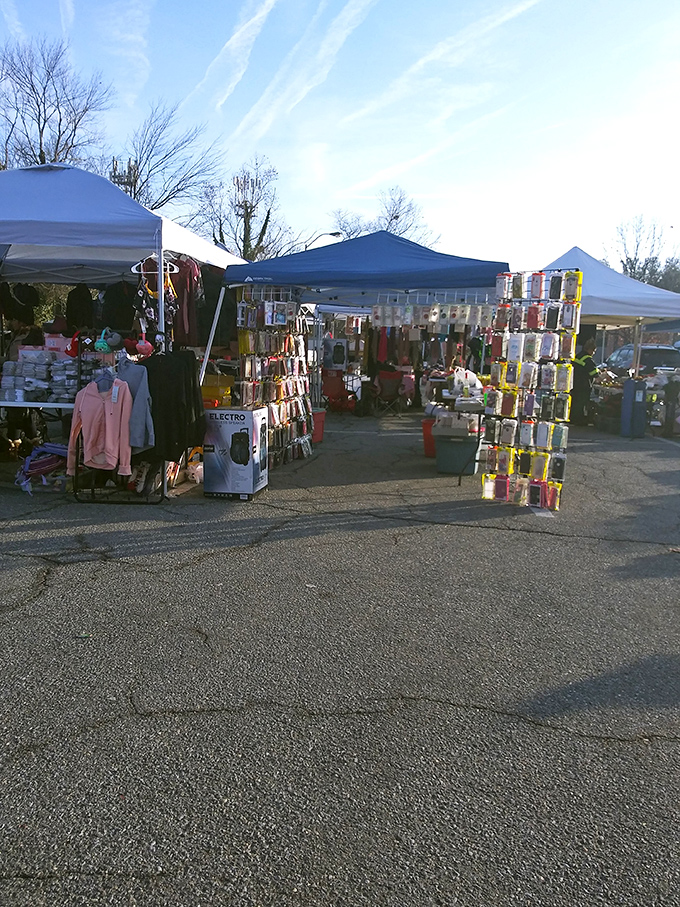 Under these rainbow-colored tents, everyday commerce becomes a festival—shopping with a side of sunshine and community spirit.