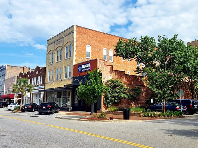 Florence's downtown square offers a perfect gathering spot with its charming fountain. Where neighbors become friends over casual conversations.
