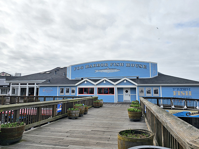Fog Harbor's blue exterior stands ready to welcome hungry visitors at the end of a wooden pier. San Francisco seafood doesn't get more authentic!
