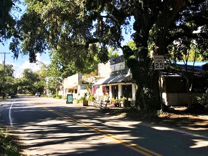 McClellanville's oak-lined streets create natural tunnels of green, where time seems to slow down by design.