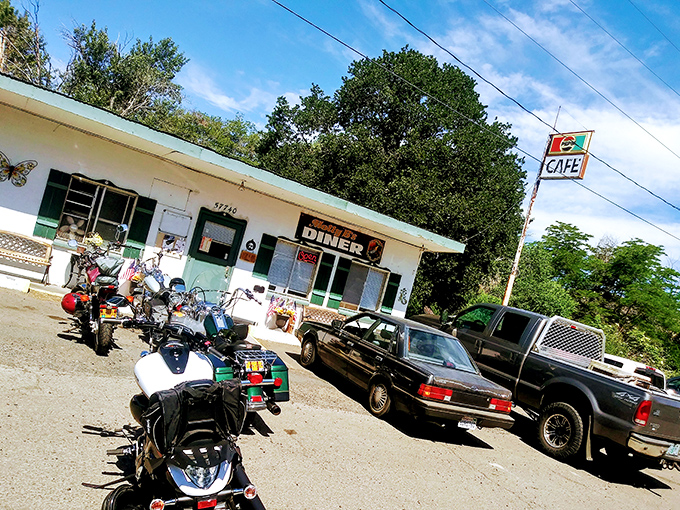 Molly B's Diner (Tygh Valley): Where motorcycles and pickup trucks gather for breakfast burritos worth the scenic detour through Oregon's countryside.
