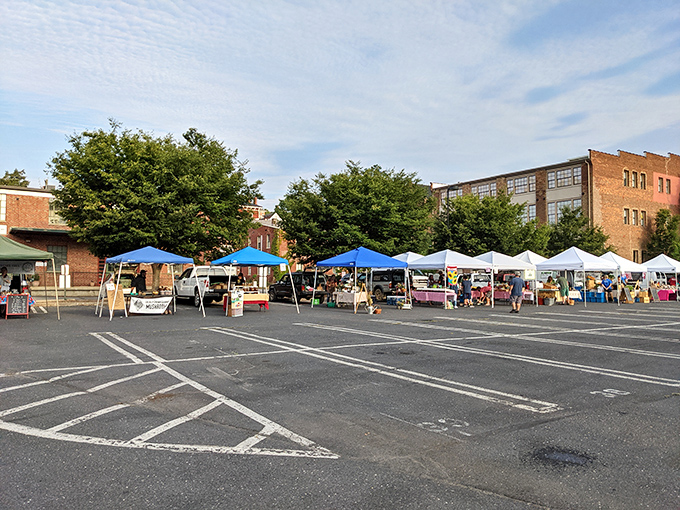 Downtown charm meets market magic! Staunton's vendor tents transform an ordinary parking lot into a community gathering space.