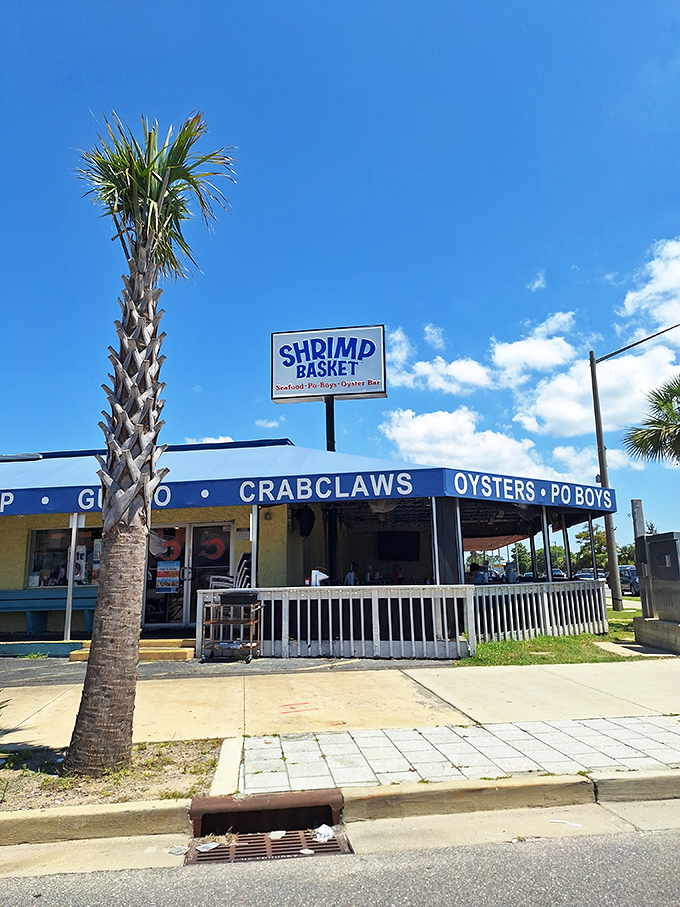 The Shrimp Basket: That simple storefront with the palm tree sentinel is like a treasure map X marking the spot for shrimp basket gold!