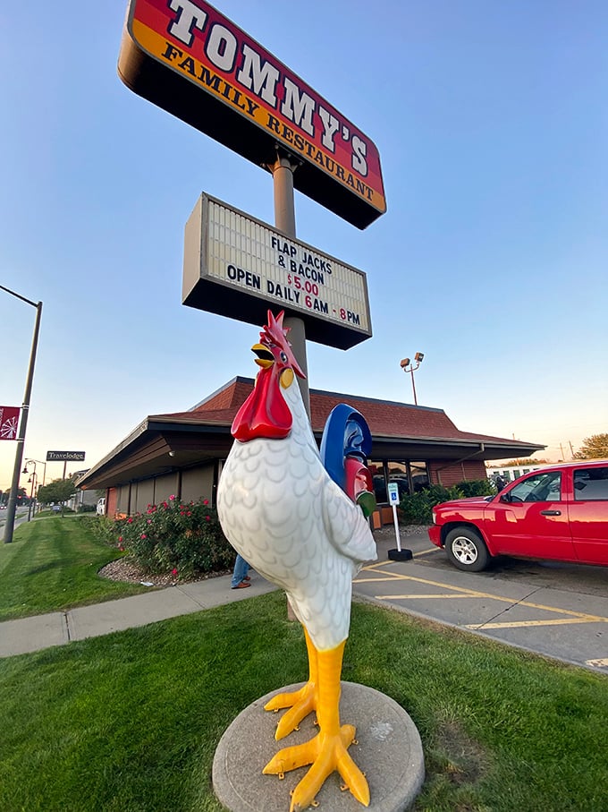 Tommy's giant rooster statue stands guard like breakfast royalty. When your mascot is that confident, your pancakes better deliver!