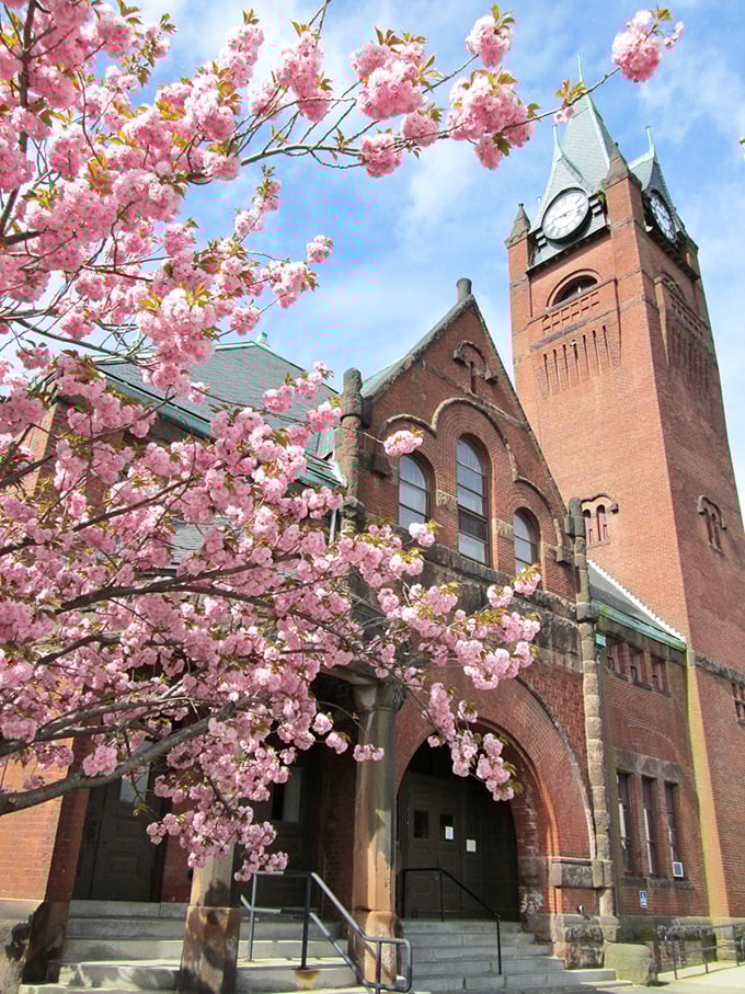In Ware, your gaze can wander from vibrant pink spring blossoms to the historic brick architecture of this majestic clock tower.