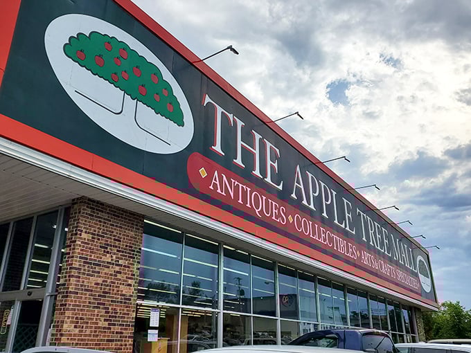 Antiques, collectibles, arts and crafts await behind those windows. The Apple Tree doesn't just bear fruit—it bears discoveries.