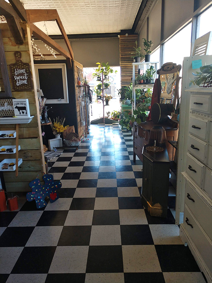 Black and white checkered floors lead you through Fifth J's carefully curated spaces. Even the plants are having a good time here!