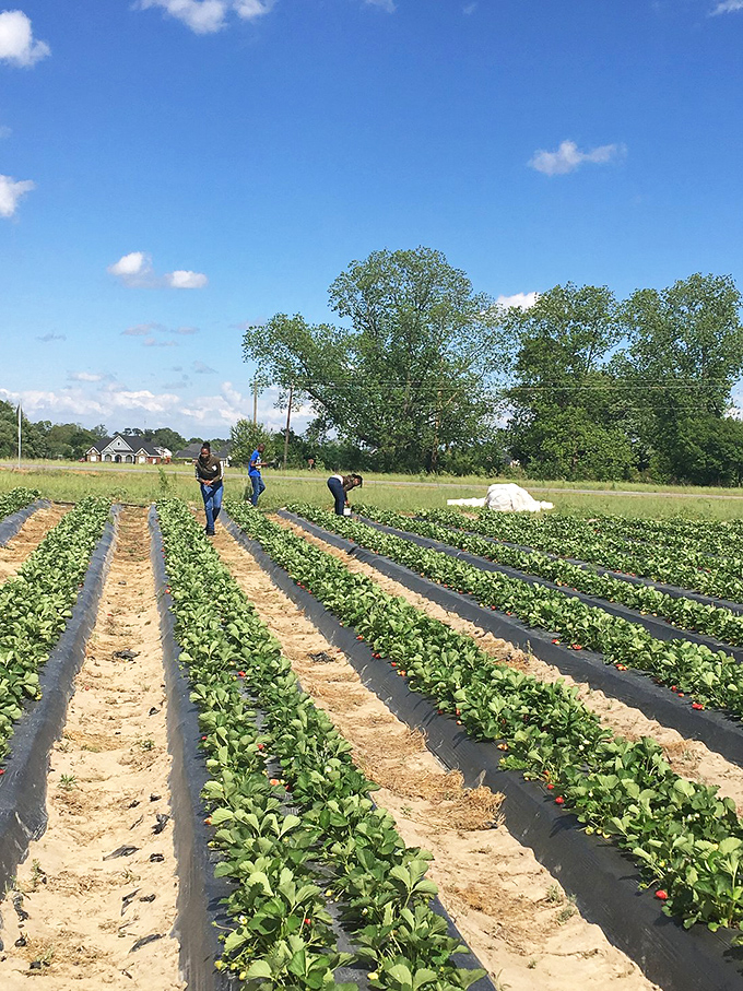 Florence's Limestone College brings cultural flair to this affordable retirement haven. Brain food and beauty in one spot!