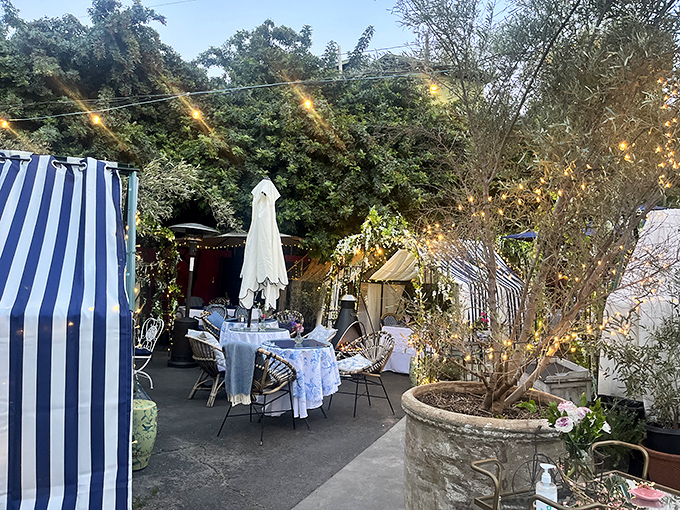 Dining under the stars gets an upgrade with Lady Byrd's charming outdoor setup. Social distancing never looked so romantic!