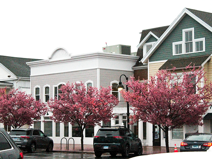Spring blossoms frame Madison's walkable downtown &ndash; where running a quick errand often turns into a delightful social marathon.