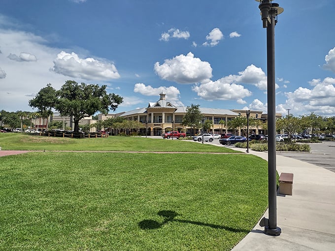 Ocala's neighborhoods blend seamlessly with nature, creating communities where backyard barbecues often include wildlife sightings.