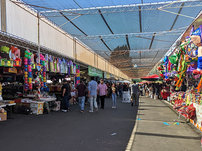 A kaleidoscope of colors greets shoppers under San Jose's market canopy. Who needs a mall when you've got this treasure trove?
