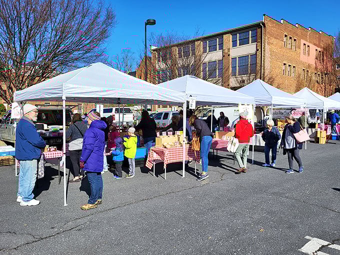 Winter can't stop these shoppers! Staunton's year-round market brings warmth and connection to the community, even on chilly Virginia days.