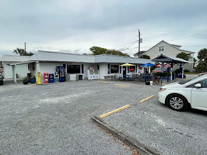Those simple picnic tables tell you everything &ndash; this place cares more about what's on your plate than under it.