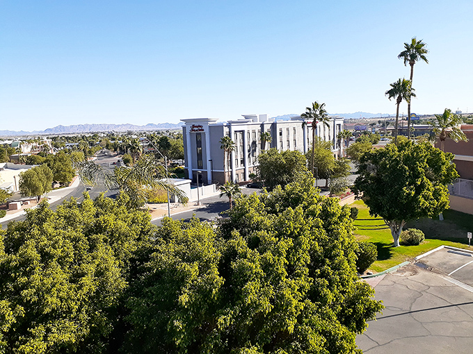 Palm trees line Yuma's sun-drenched streets, where retirement dollars stretch almost as far as the endless blue Arizona skies.