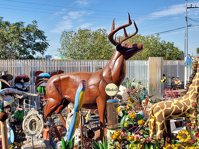 This life-sized deer stands sentinel among garden treasures&mdash;the unofficial greeter of Albuquerque's most eclectic outdoor antique display.