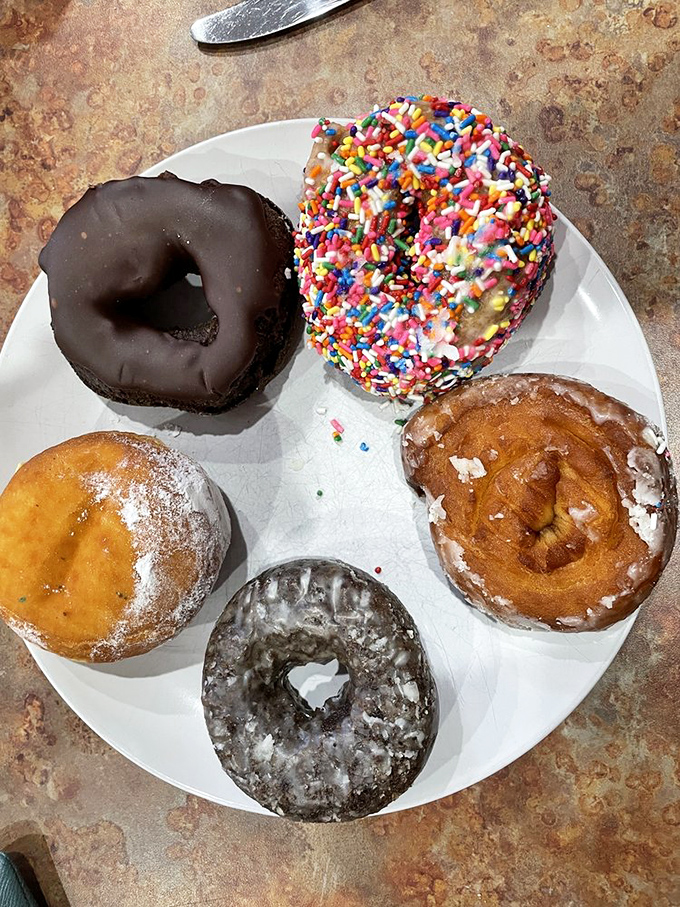 A plate of pure joy featuring the sprinkle-covered party animal, the sophisticated chocolate-glazed, and the powdered sugar traditionalist. Gang's all here!