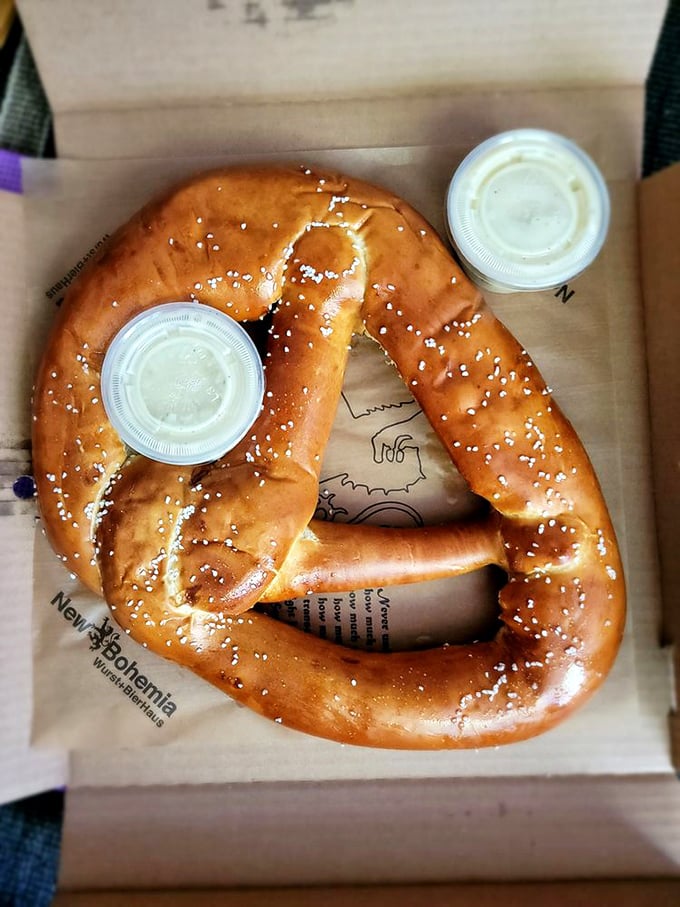 Fresh from the oven, this pretzel's mahogany curves would make a German baker weep with joy. Salt crystals catch the light like tiny diamonds.