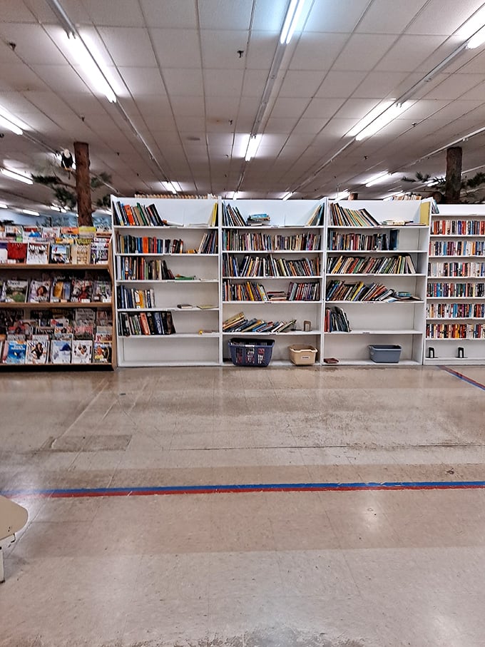 Bookworms beware&mdash;you could lose hours in these aisles. From bestsellers to obscure titles, the literary selection rivals small-town libraries in both breadth and organization.