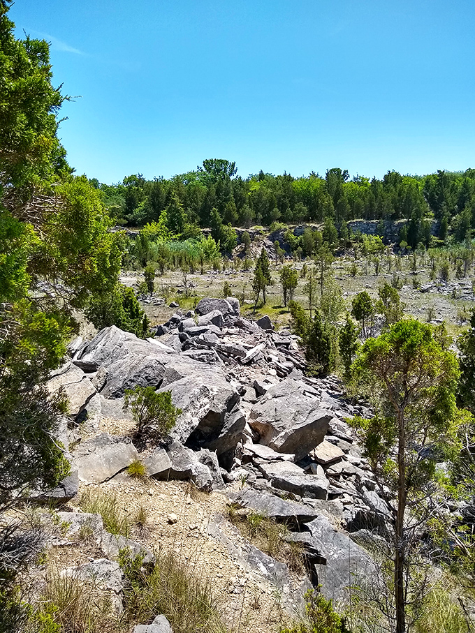 Ancient limestone tells Earth's story better than any textbook. These rocks have seen things your smartphone couldn't begin to comprehend.