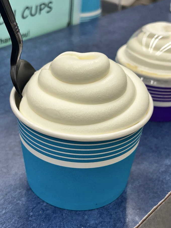 Peanuts cascading over vanilla custard like tiny amber jewels. The crunch-to-cream ratio here is what mathematicians call "the golden ratio."