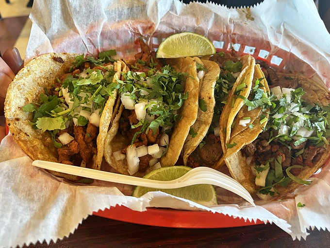 Chorizo tacos that would make abuela proud. The vibrant red meat against fresh green cilantro creates food art that tastes even better than it looks.