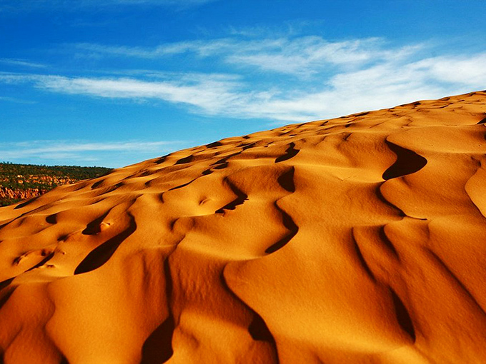 Nature's sandbox on steroids! Coral Pink Sand Dunes ripple like waves frozen in time, catching light like spilled paprika.