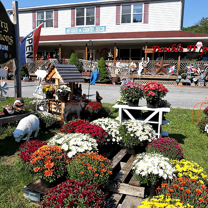 Fall blooms create a kaleidoscope of color outside Country Traditions, where garden ornaments and seasonal flowers transform shopping into a sensory experience.