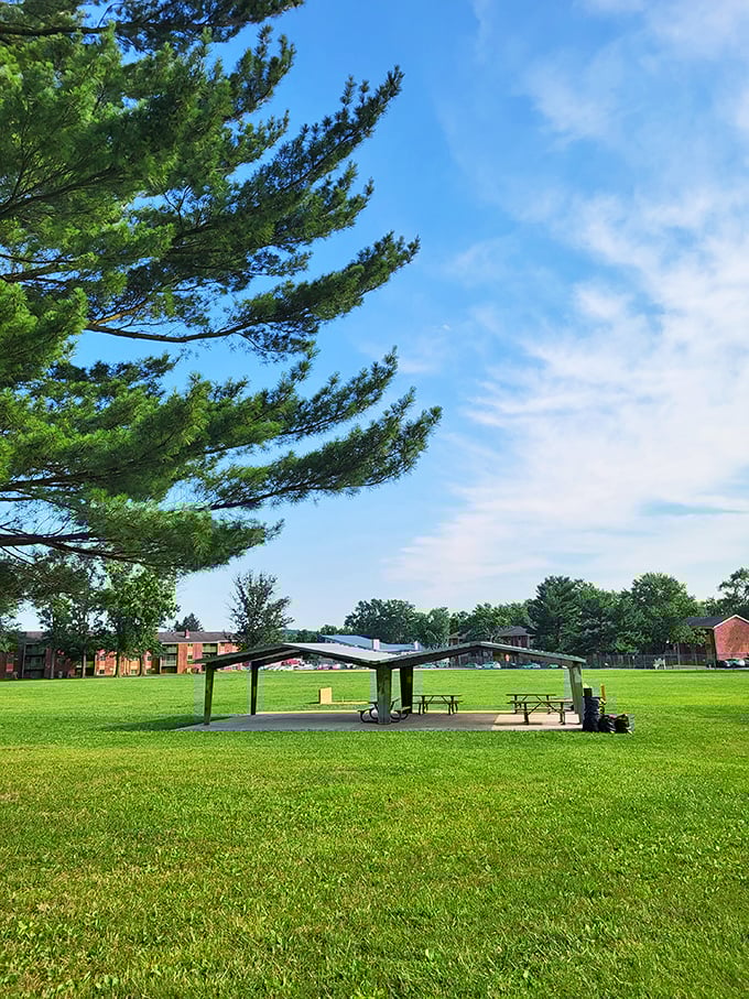 Picnic shelters and wide-open spaces create perfect gathering spots for families. This park's towering pines provide shade that's worth its weight in gold during Delaware summers.