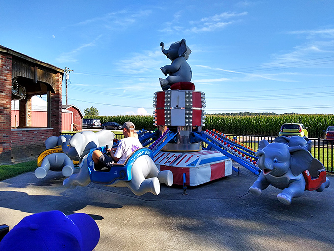 These cheerful elephant rides have delighted generations of tiny thrill-seekers. The perfect starter attraction for future roller coaster enthusiasts still measuring under 48 inches.