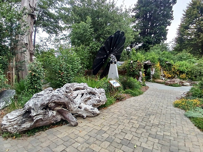Nature and artistry merge seamlessly in Hadley Gardens' winding pathways. Driftwood sculptures and native plantings create a meditative space that feels both wild and intentional.