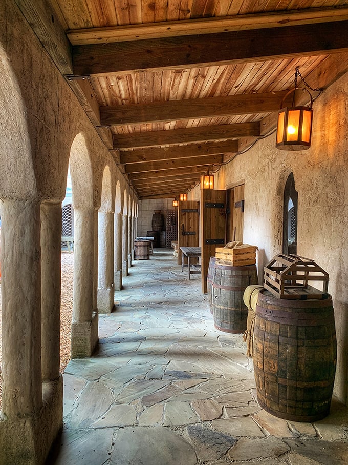 Stone archways and wooden barrels line this atmospheric corridor. Perfect for dramatic entrances or sneaking to the kitchen for midnight snacks.