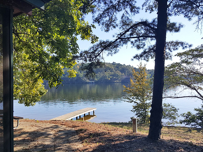 Lake Catherine's serene dock invites contemplation, fishing, or that moment when you wonder why you ever lived surrounded by concrete and car horns.