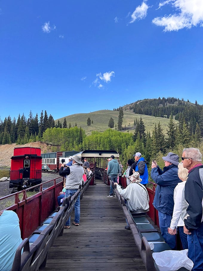 All aboard for views you can't get from your car! The railroad experience that makes "getting there" more than half the fun.
