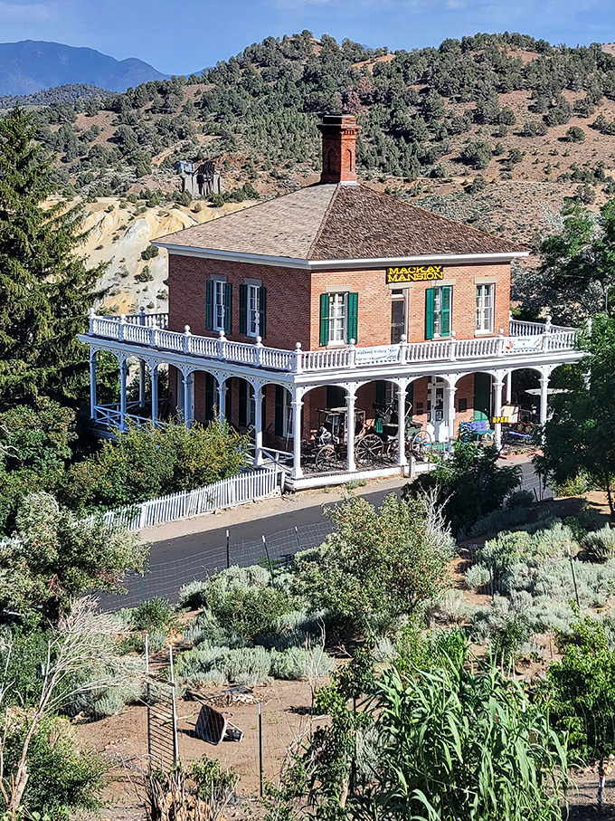 The Mackay Mansion Museum offers a glimpse into how mining magnates lived, with its wraparound porch perfect for sipping lemonade and mountain-gazing.