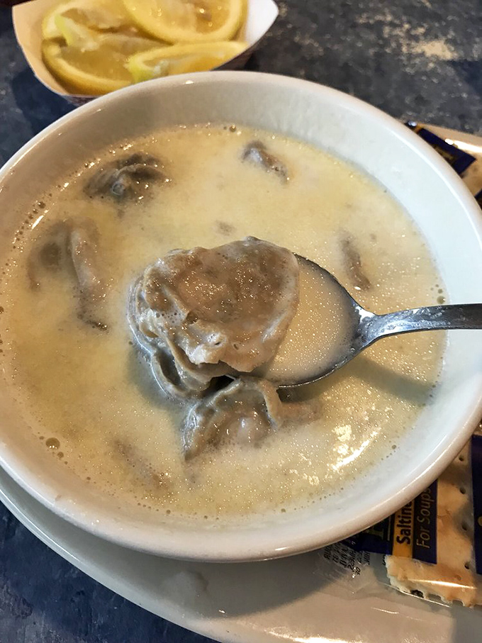 A spoonful of oyster stew reveals treasures from the deep, swimming in a creamy broth that warms both body and soul.