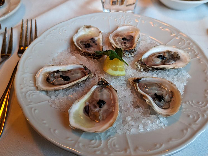 Fresh oysters on ice—nature's perfect appetizer. Each one a small ocean miracle, needing nothing more than a squeeze of lemon and appreciative company.