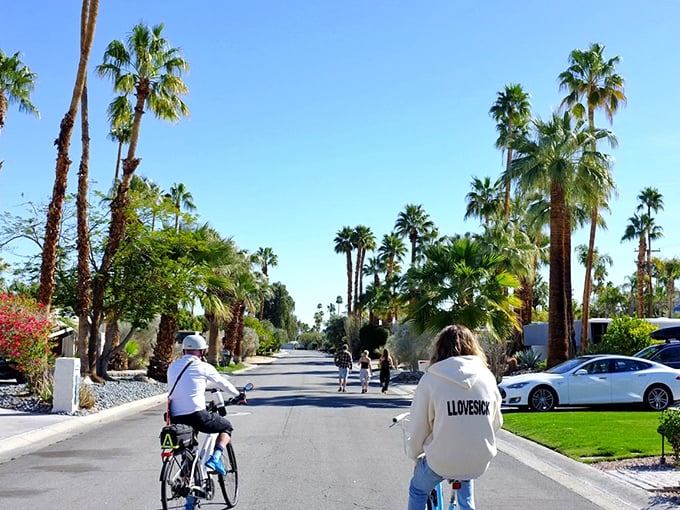 Local life moves at bicycle pace in residential neighborhoods where desert landscaping and palm trees create postcard-perfect street scenes.